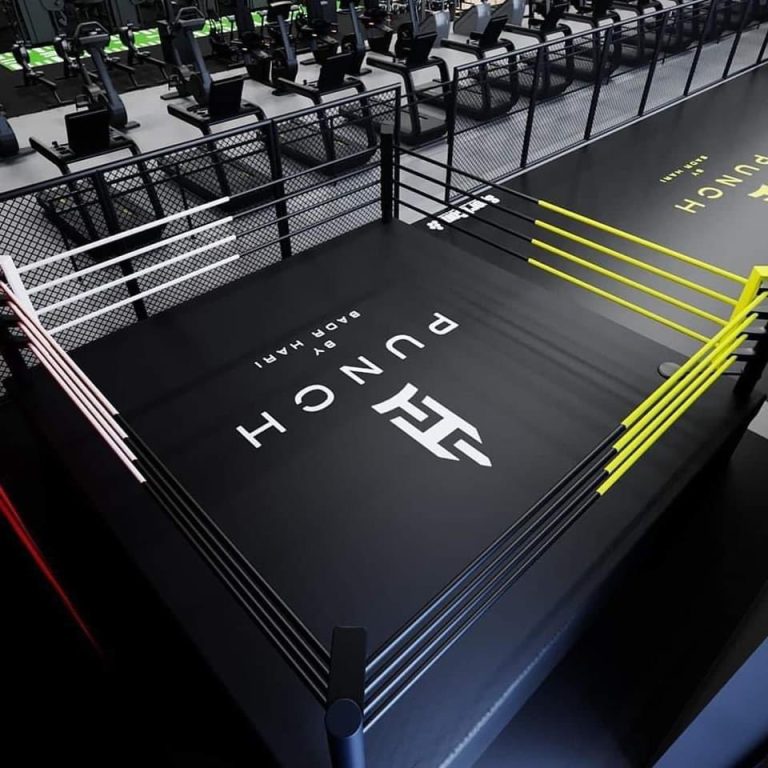 Casablanca: les premières images des salles de sport « PUNCH » du ...